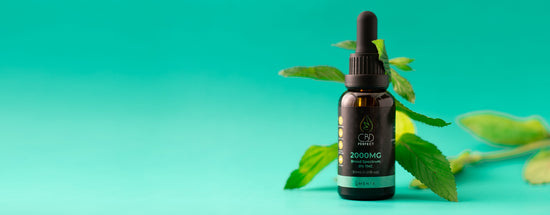 Sobre nosotros – CBD Perfect